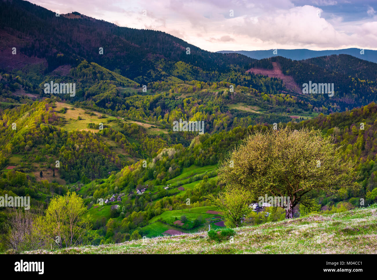 Grassy suburban area hi-res stock photography and images - Alamy