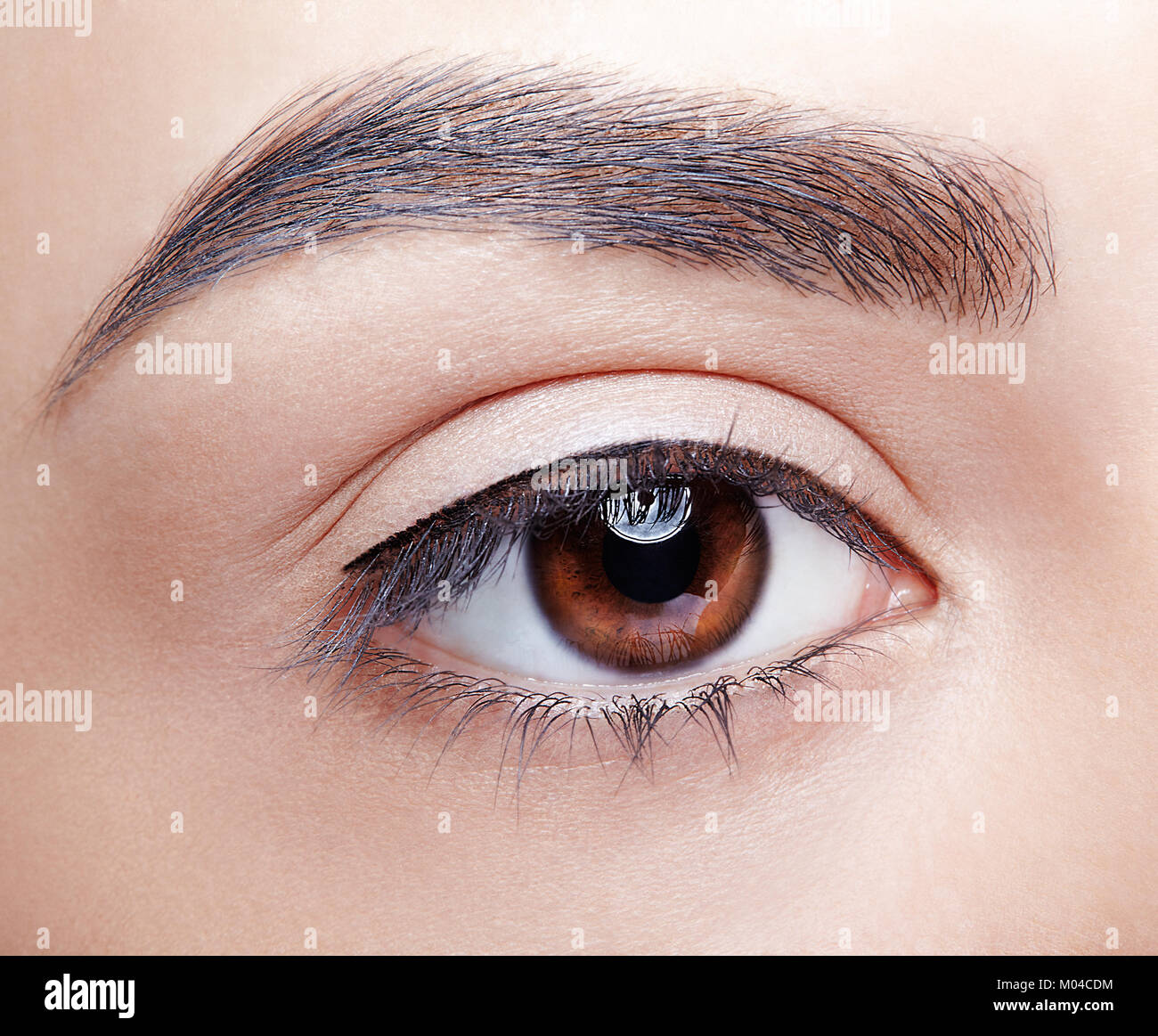 Closeup shot of woman brown eye with day makeup Stock Photo - Alamy