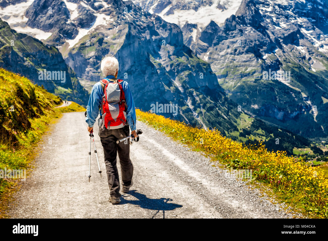 Senior man hiking in the Swiss Alps on a trail facing a spectacular ...