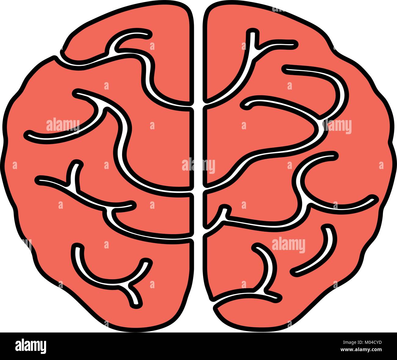 brain vector illustration Stock Vector Image & Art - Alamy