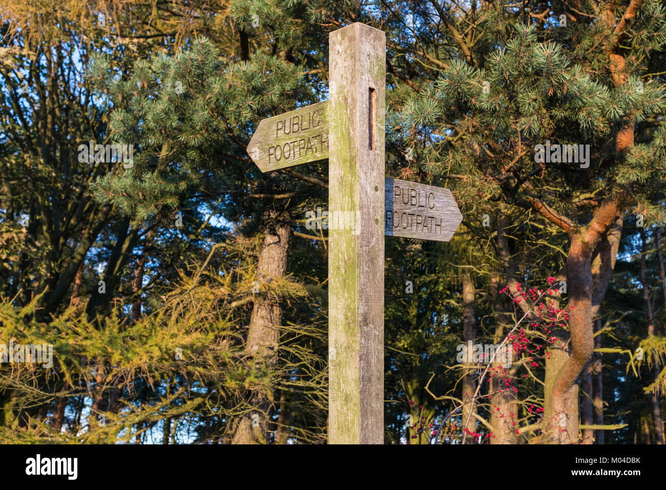 A wooden signpost of public footpath, a right of way for walkers and ...