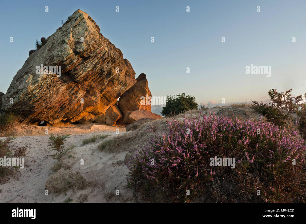 Agglestone Rock Dorset Stock Photo - Alamy