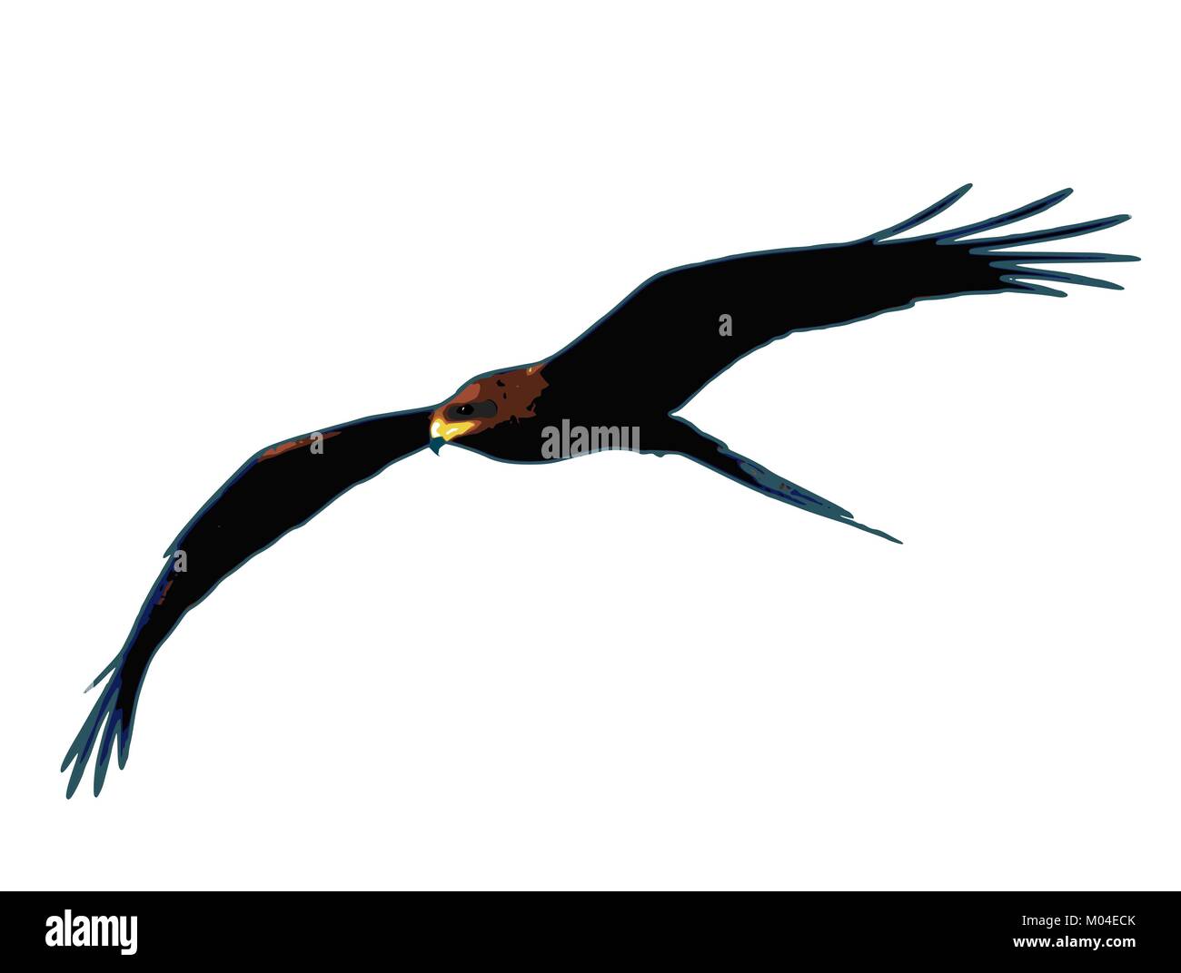 Flying eagle colour plain vector illustration isolated on white ...