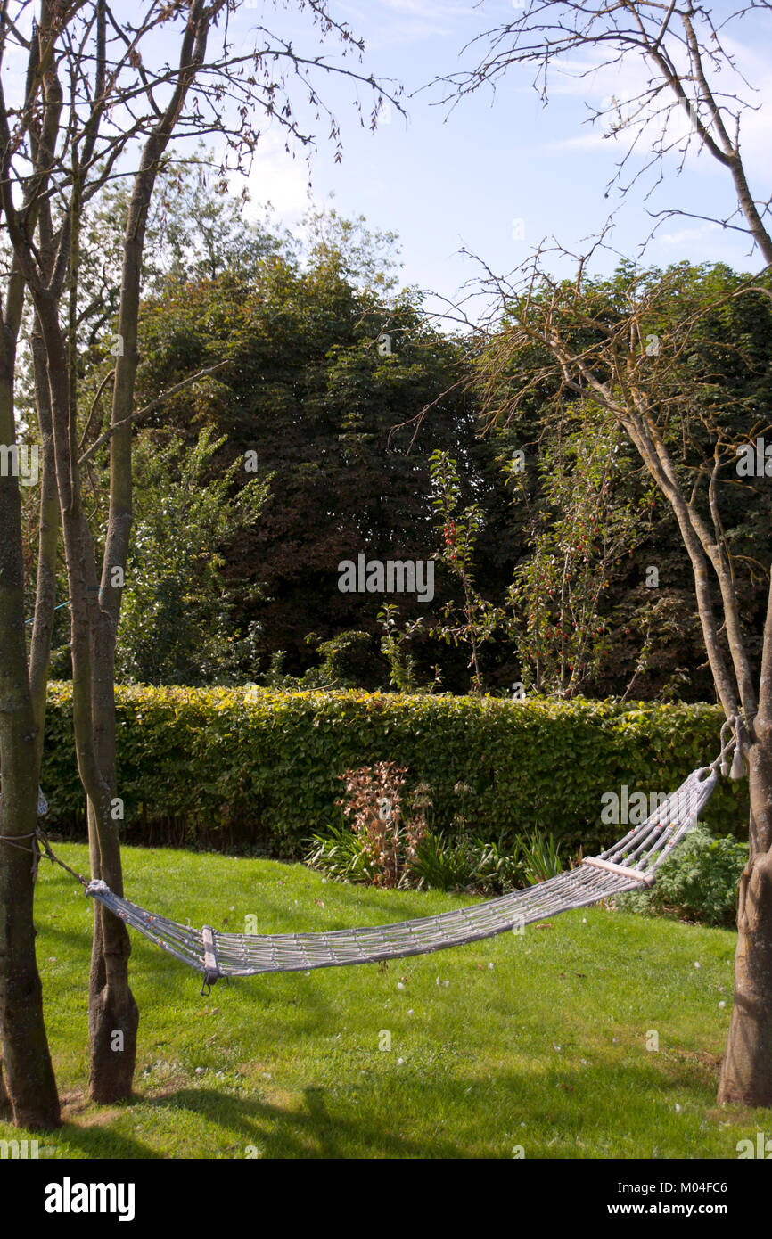 A garden hammock tied between two trees Stock Photo - Alamy