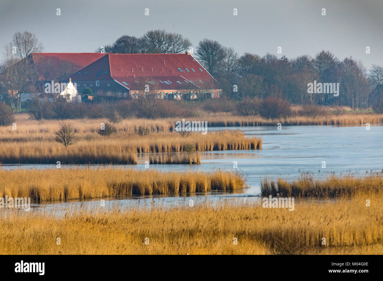 Salt marshes, marsh landscape on the North Sea dyke near Greetsiel ...