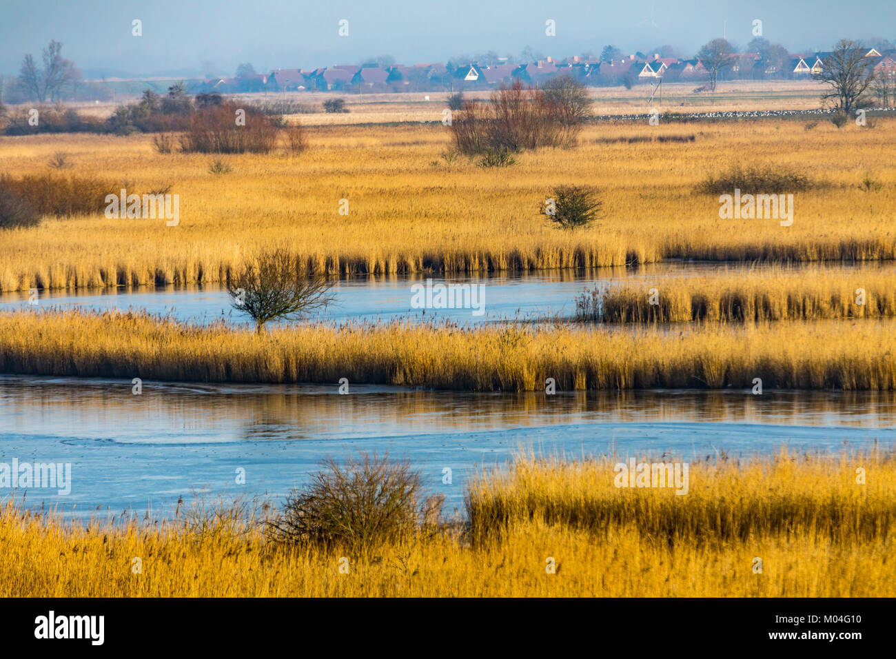 Salt marshes, marsh landscape on the North Sea dyke near Greetsiel ...