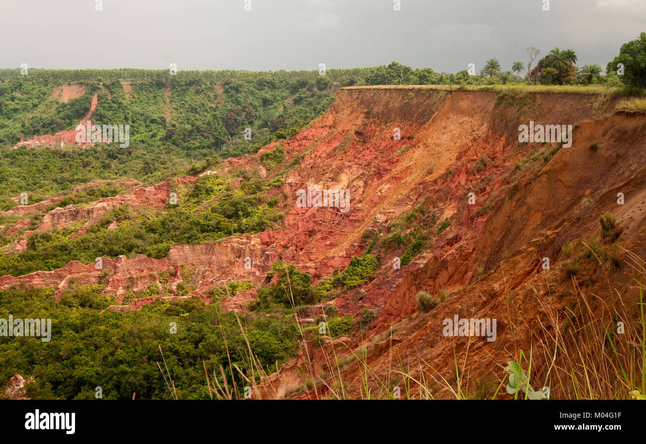 The tropical forest of Congo (Brazzaville Stock Photo - Alamy