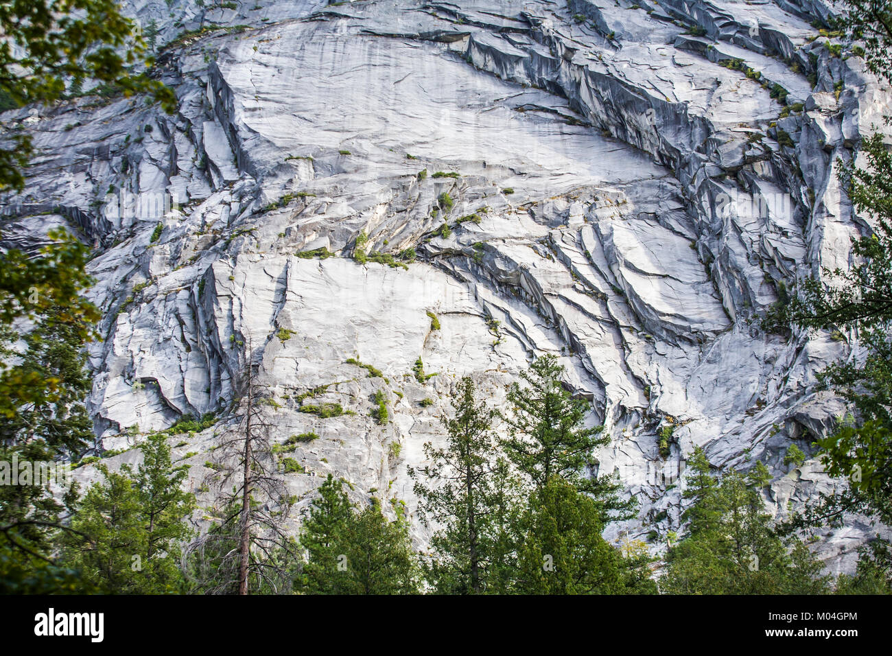 Granite cliffs above the forested valley floor, Yosemite Valley below ...