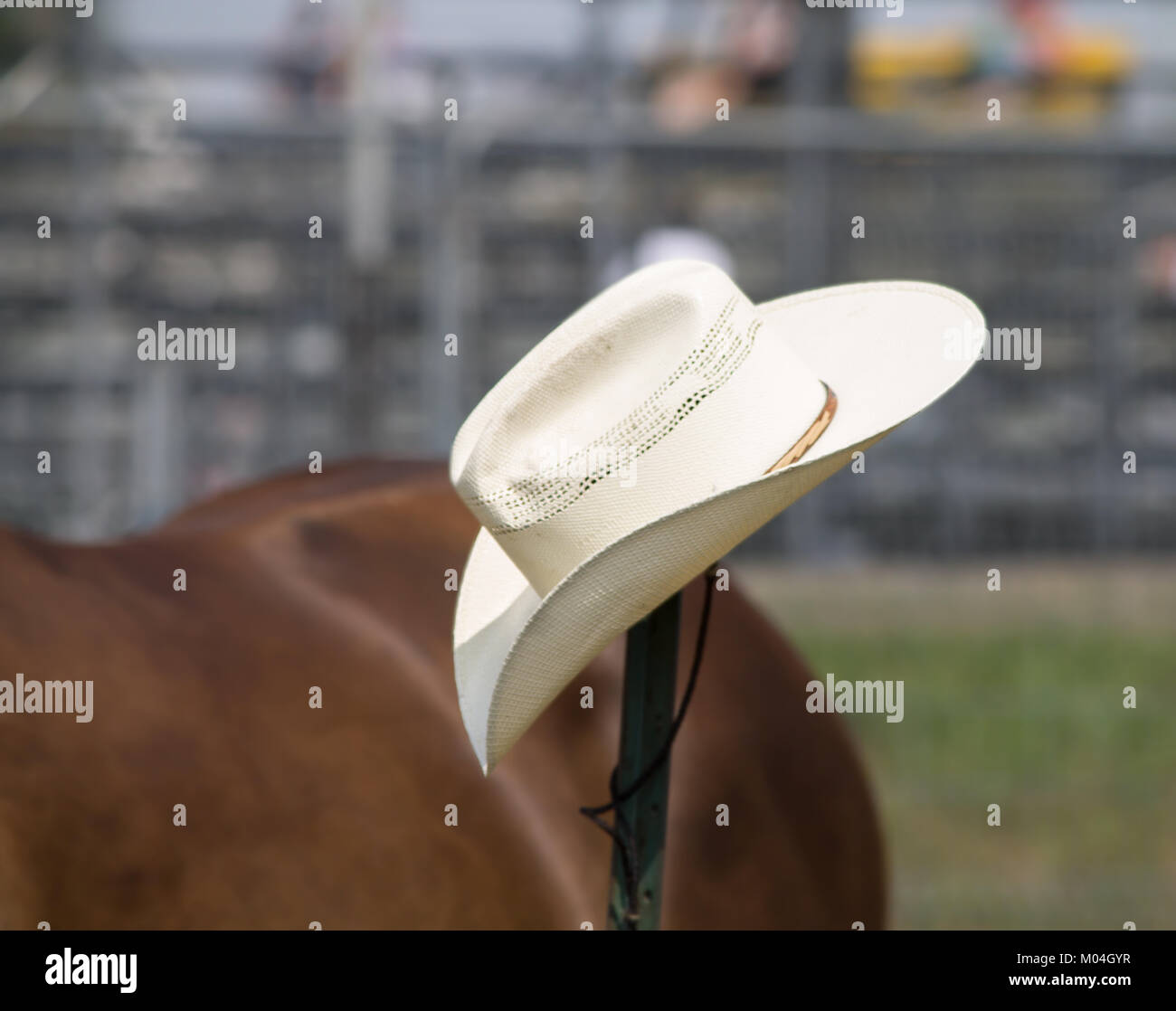 A cowboy stetson hat Stock Photo - Alamy