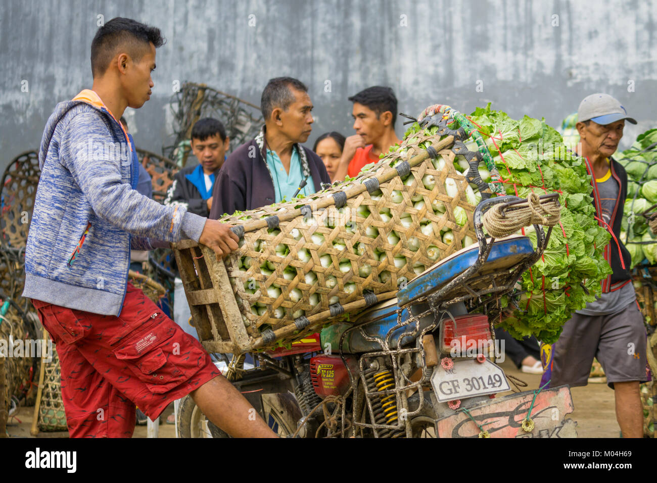 Heavy vegetable load brought on a motorcycle to Mantalongon market ...