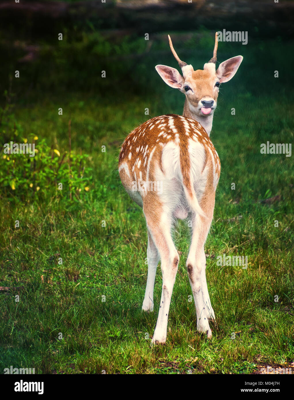 Look at me Stock Photo - Alamy