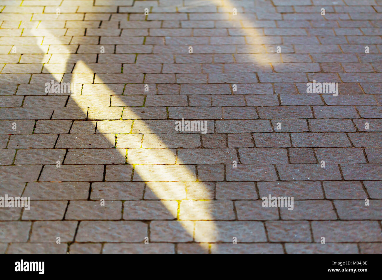 An urban trail with a late afternoon and autumn sunshine and casting ...