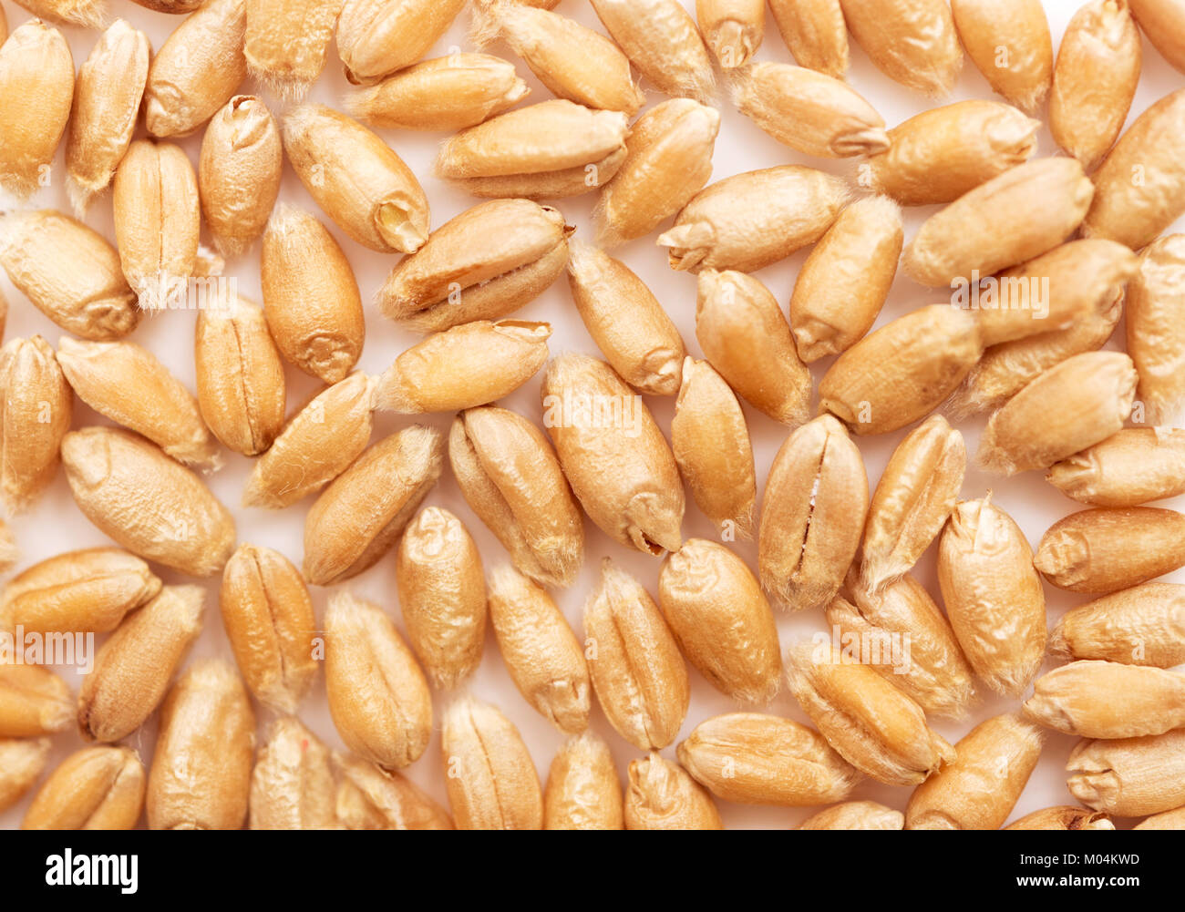 Wheat grain background Stock Photo - Alamy