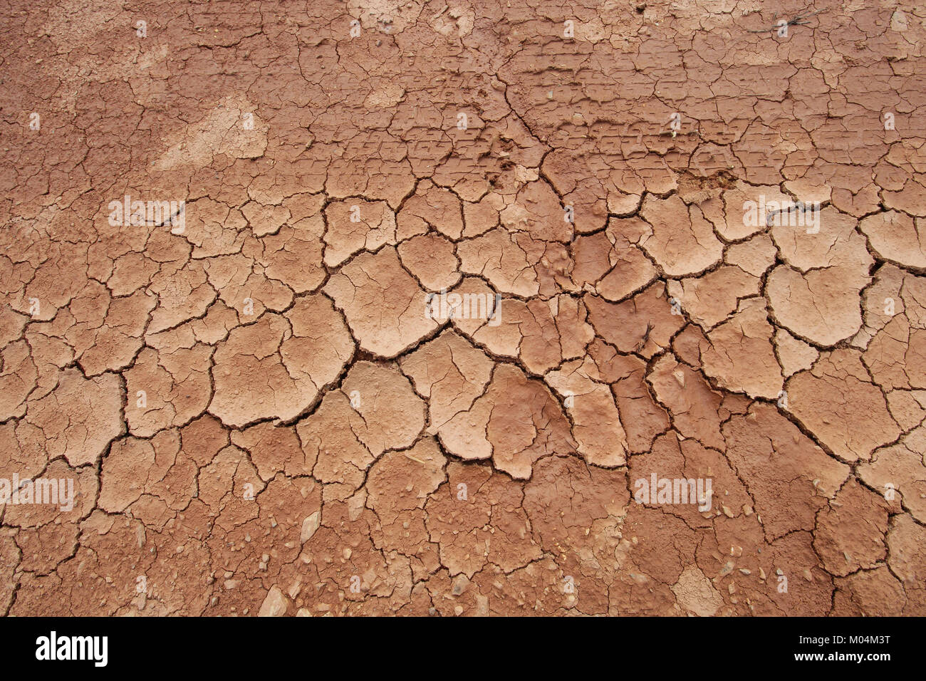 dry soil cracked earth texture Stock Photo - Alamy