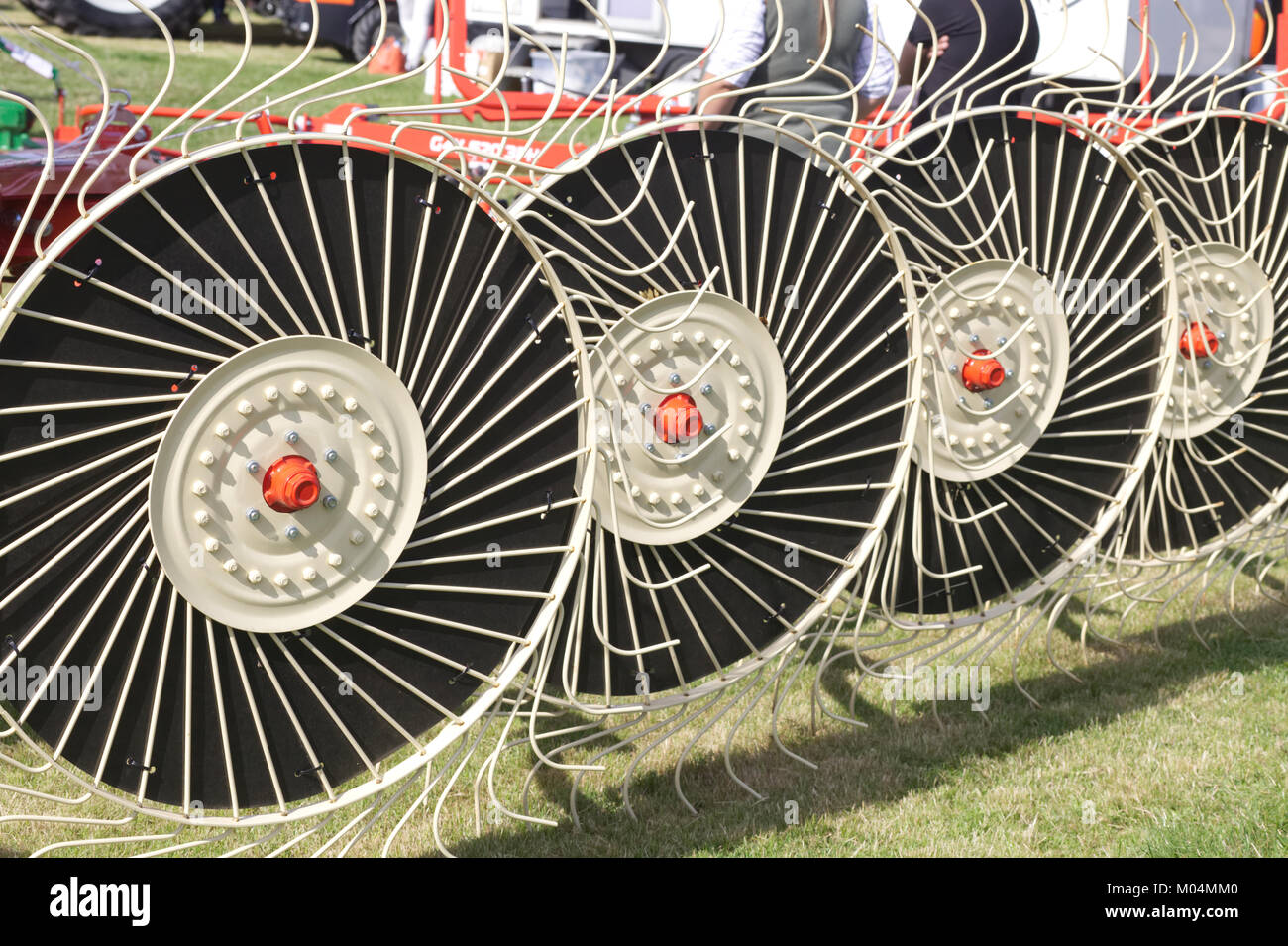 Spiked wheel hi-res stock photography and images - Alamy