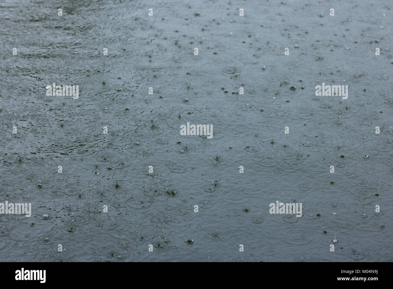 Rain drops rippling hi-res stock photography and images - Alamy