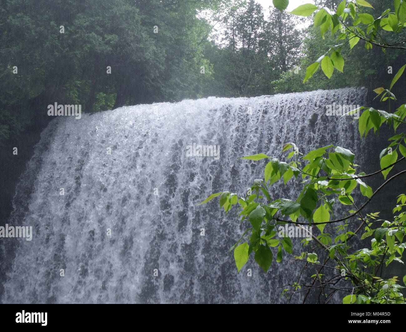 Bridal Veil Falls is a picturesque waterfall located in Kagawong ...