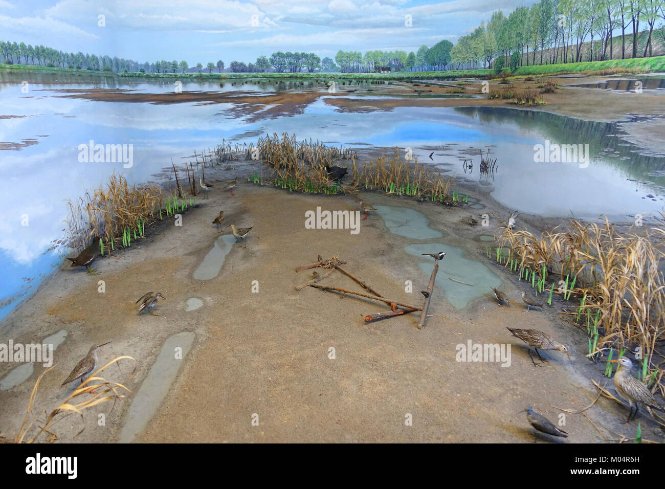 This image captures a section of the migration area exhibit at the ...