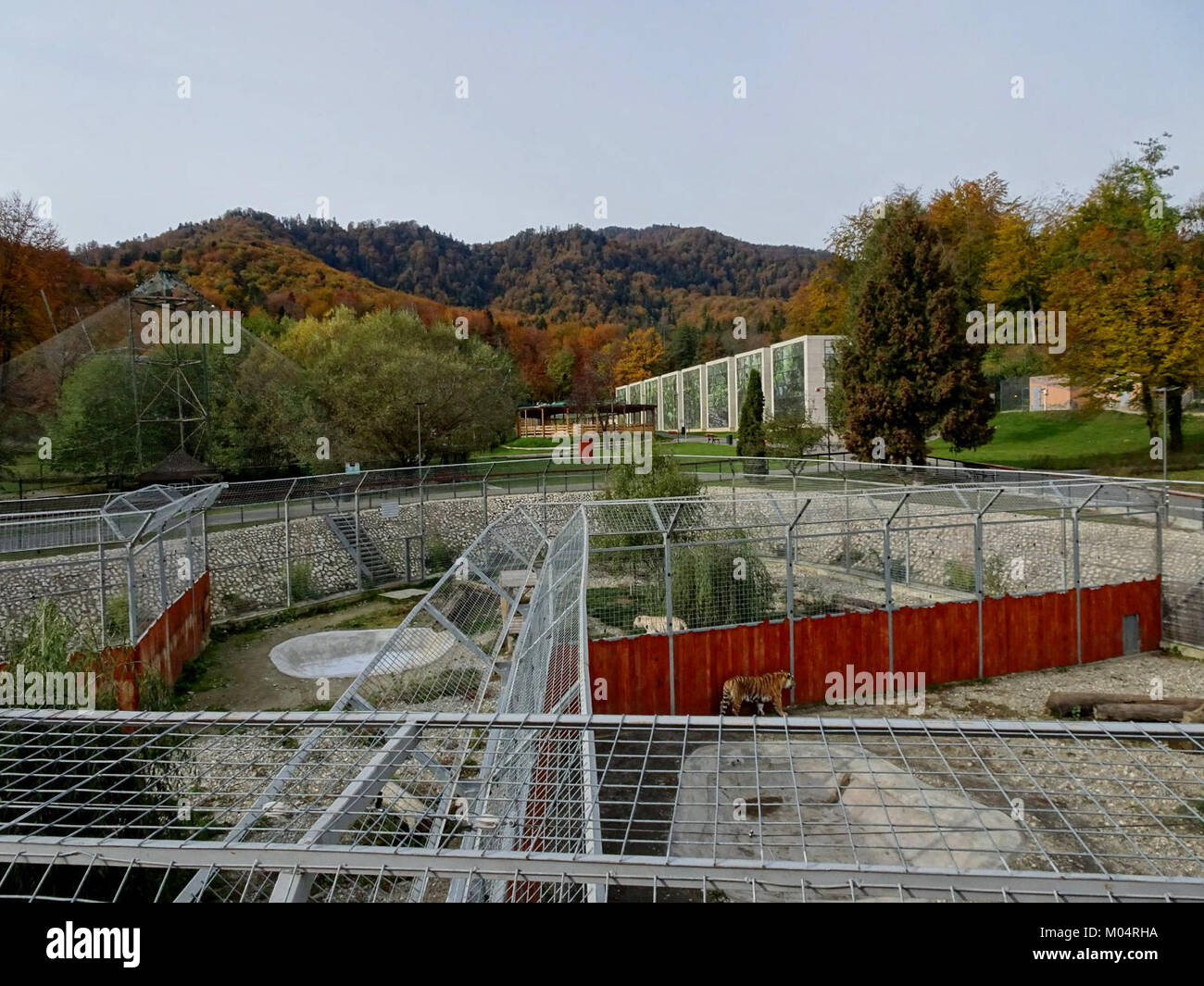 The Brașov Zoo in Romania is a popular animal park offering a wide ...
