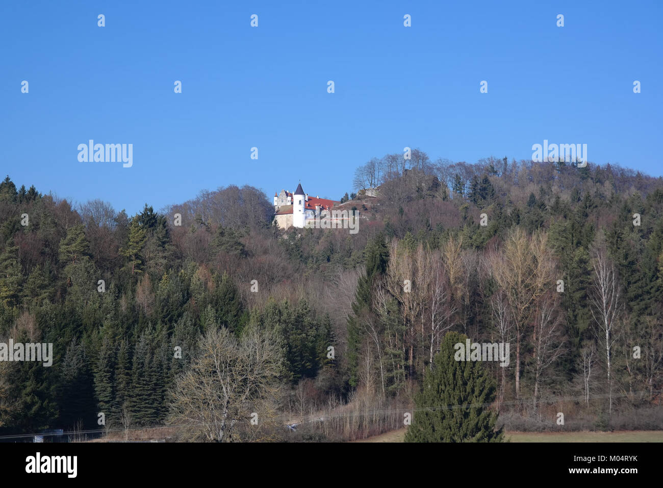 Burgruine Neidenstein is a medieval castle ruin located in Neidenstein ...