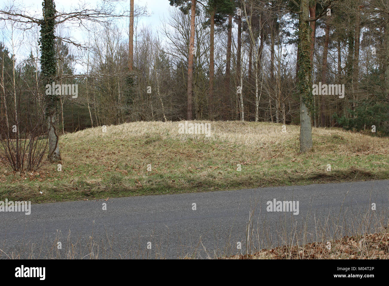 The bowl barrow located 580 meters northeast of The Lodge in Brandon is ...