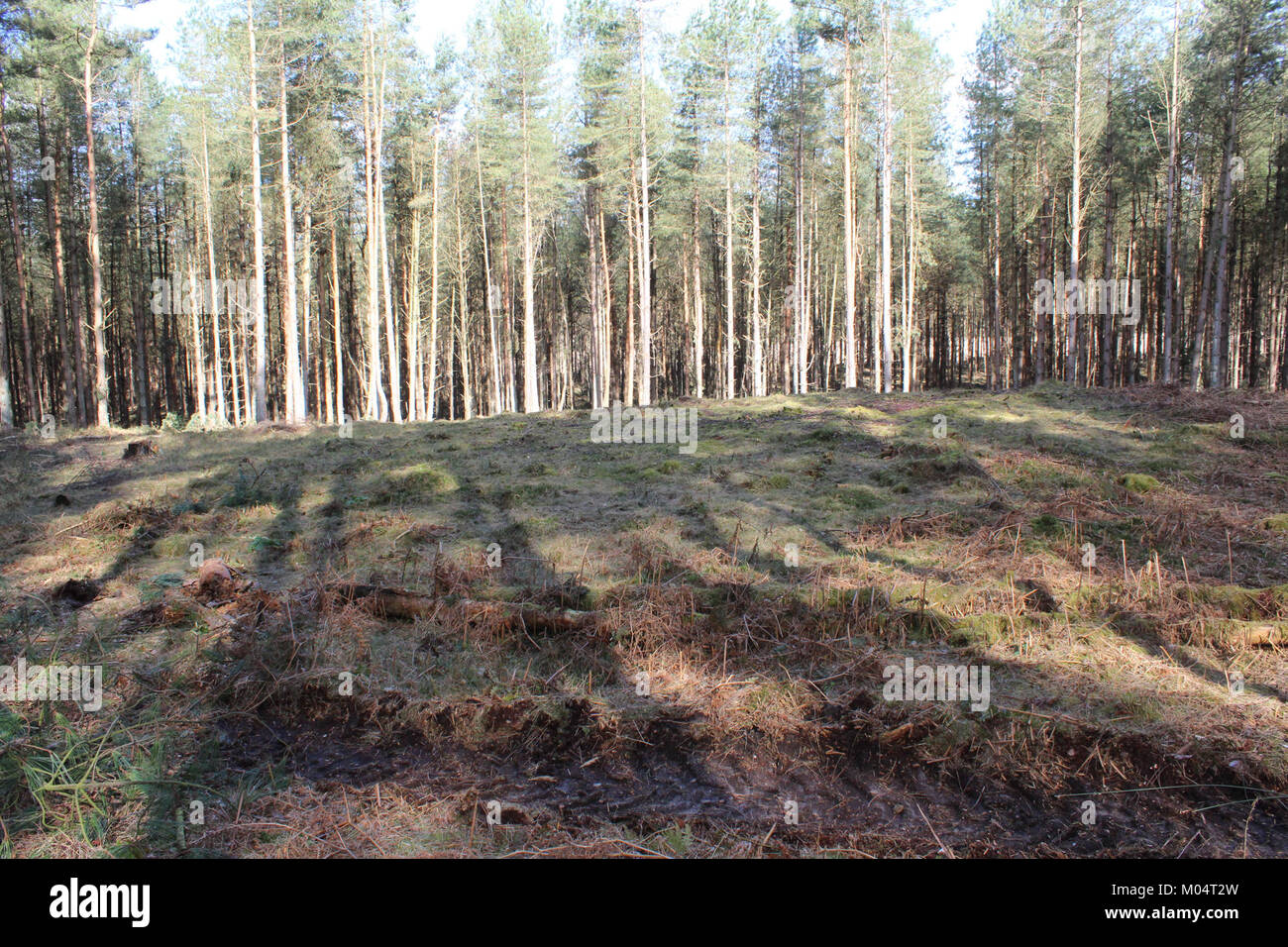 The Bowl Barrow is an ancient burial mound located 380 meters southwest ...