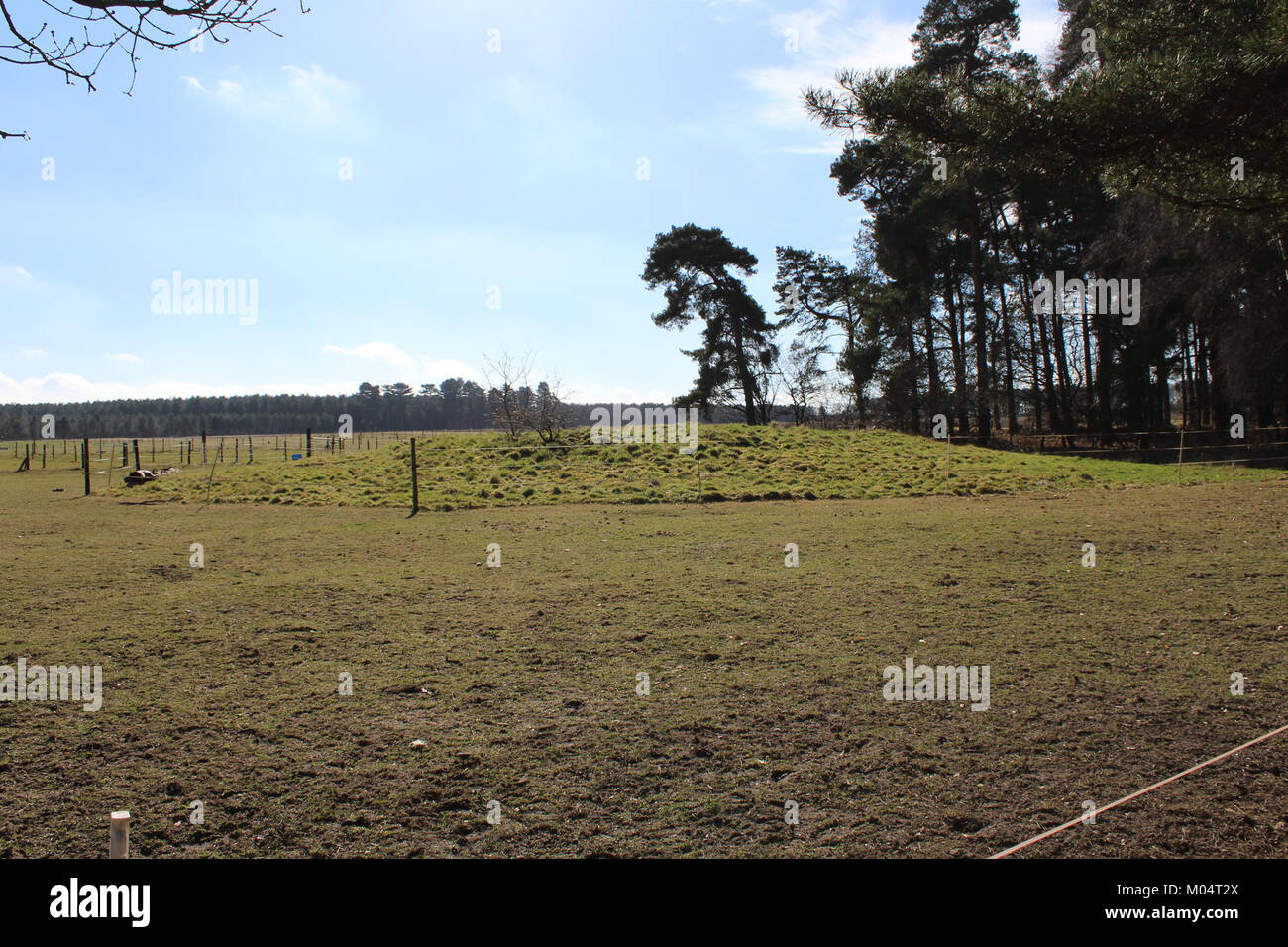 A bowl barrow located 230 meters southwest of Little Lodge Farm is an ...