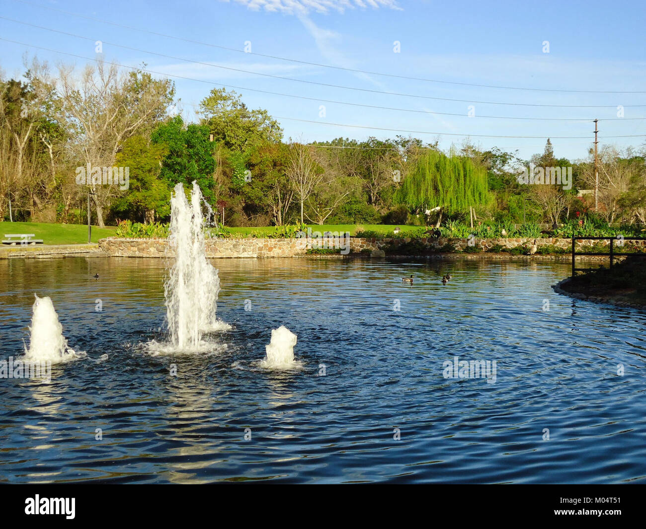 Santa Clara Central Park in California is a public recreational space ...
