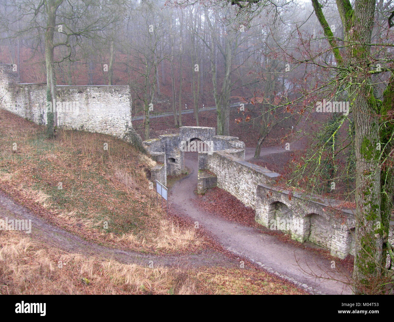 The Burg Plesse Barbican, located in Germany, is a medieval structure ...