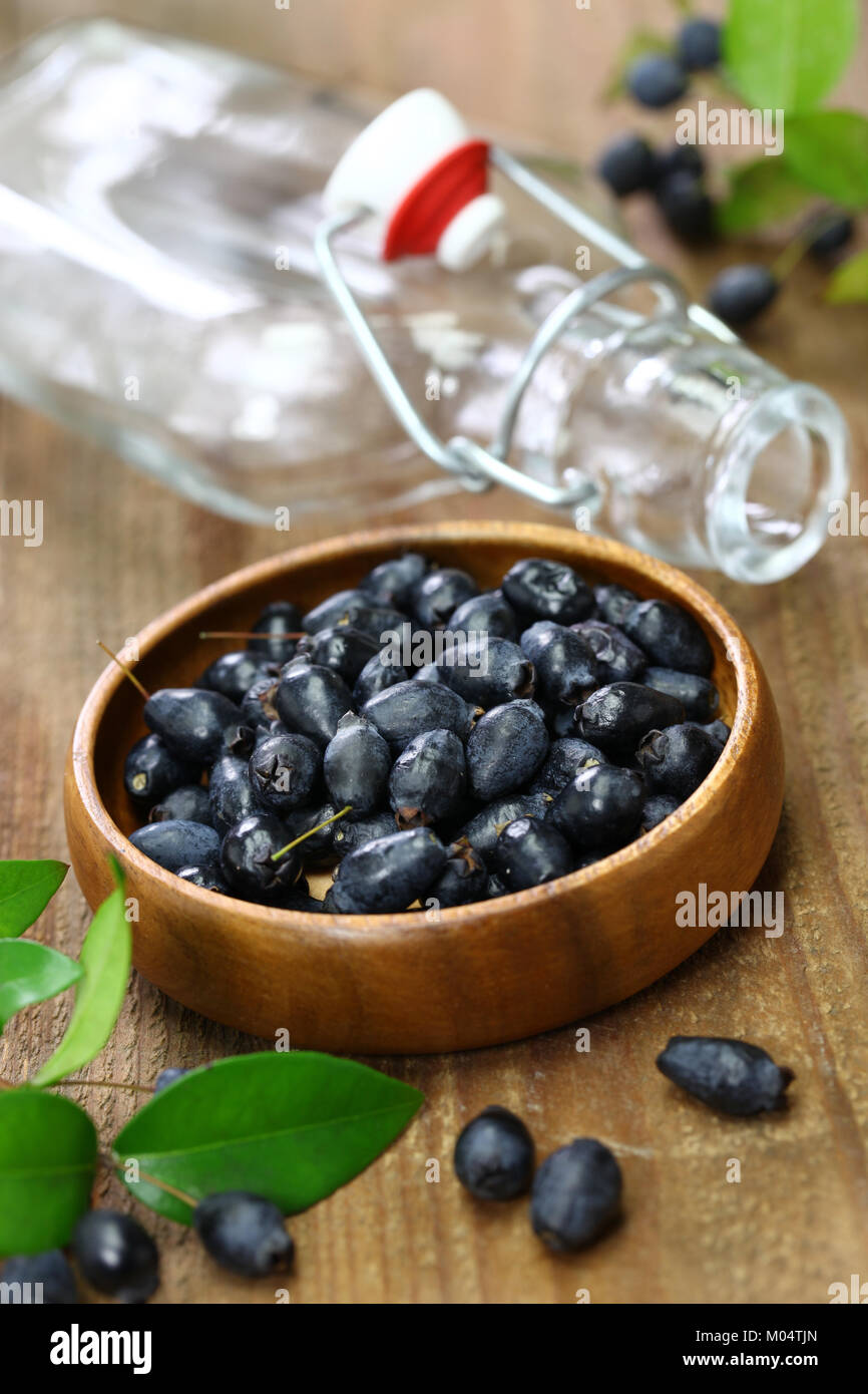 myrtle fruits, making myrtle liqueur, italian sardinia traditional ...