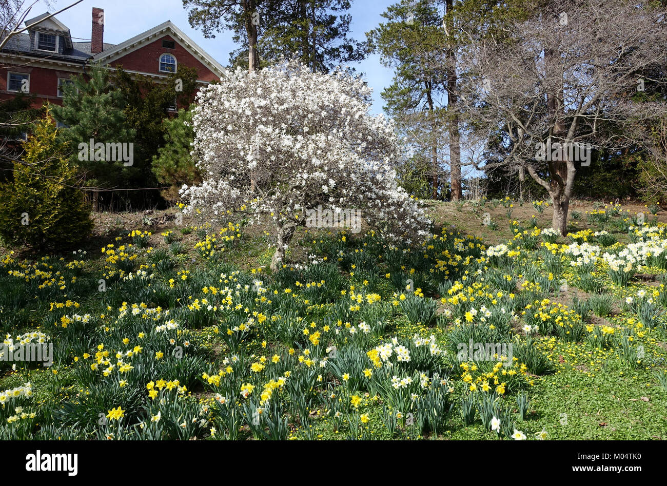 The Botanic Garden at Smith College in Northampton, Massachusetts ...