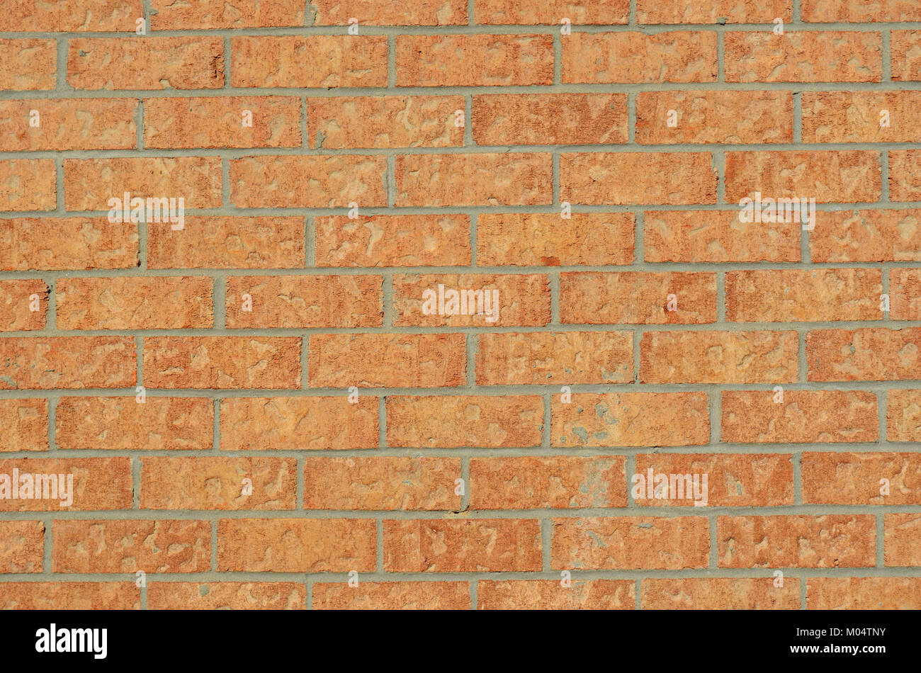 This image shows a detailed view of a brick wall, focusing on the textures and structure of the ...