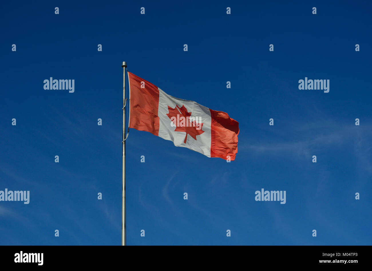 The Canadian Flag, also known as the Maple Leaf, features a red maple ...