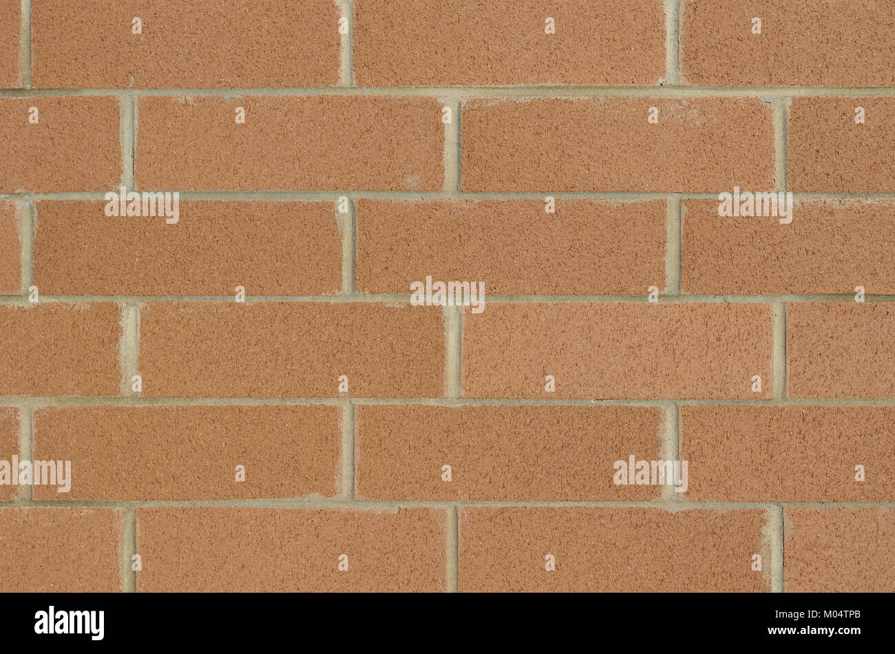 This image captures a brick wall, a common architectural feature that ...