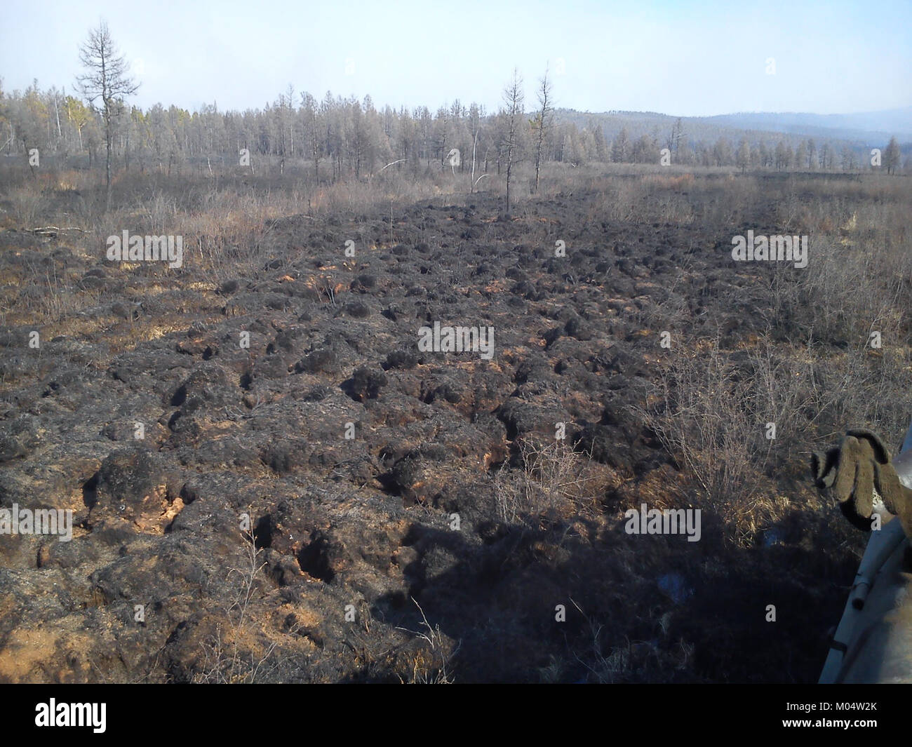 Peat bog ancient history hi-res stock photography and images - Alamy