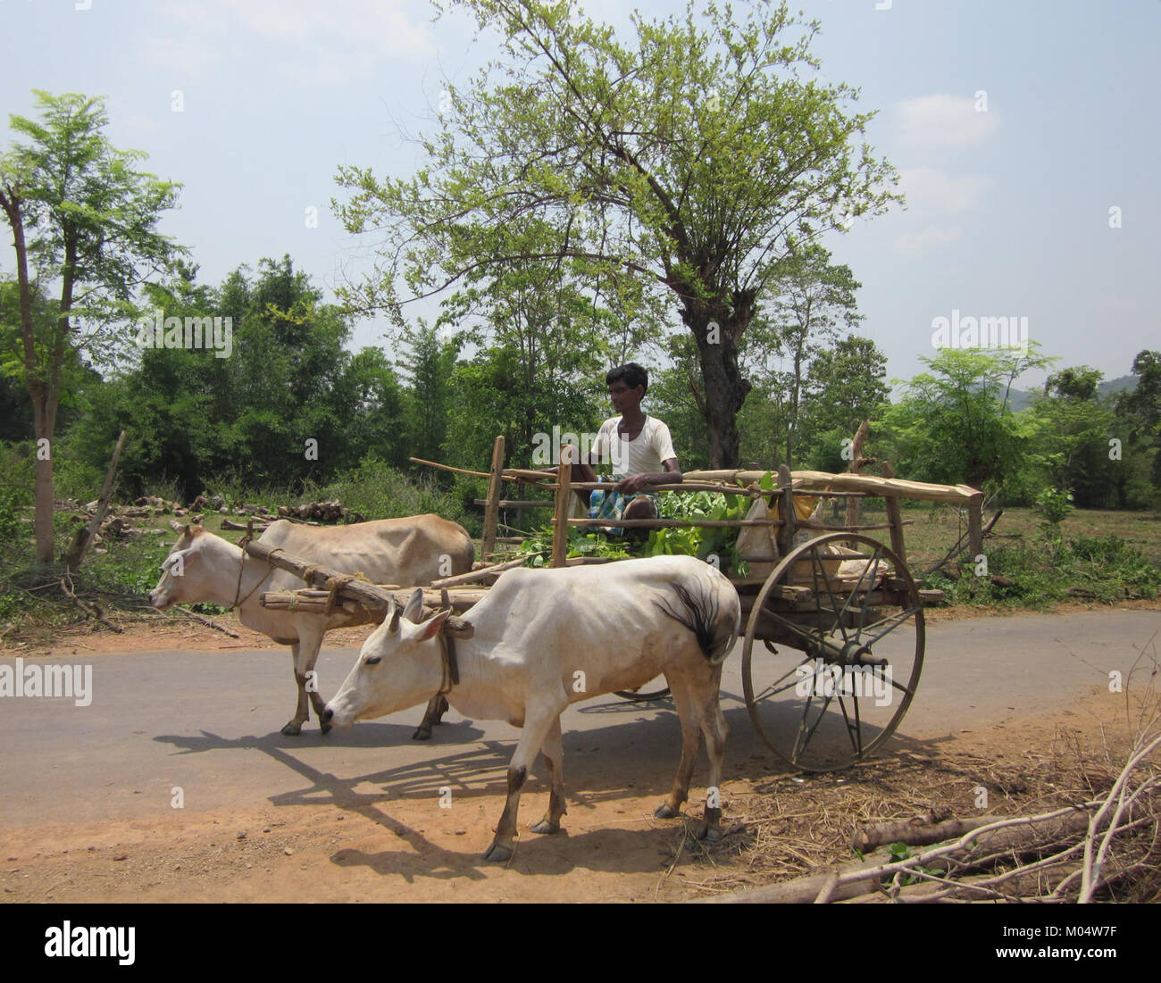 Village life in bengal india hi-res stock photography and images - Alamy