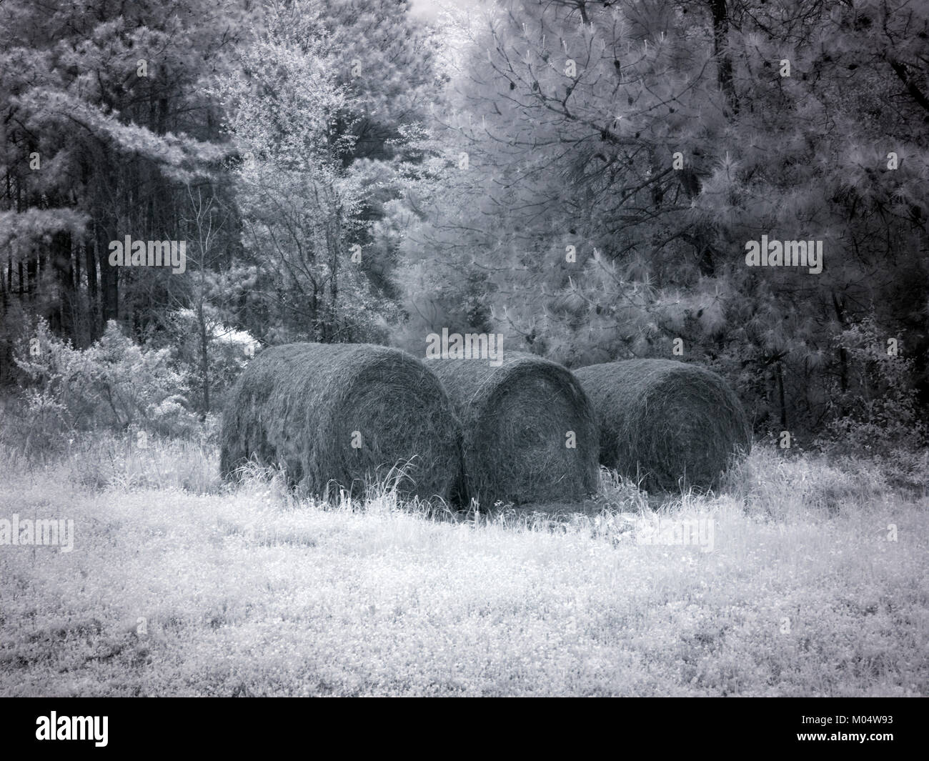 Rural scene in Alabama Stock Photo - Alamy