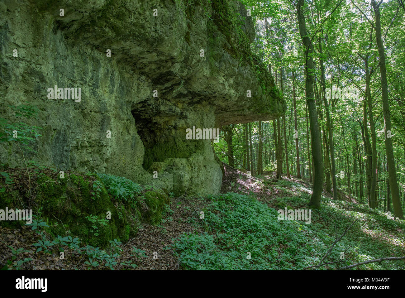 Burgstall Plankenstein is the site of a historical castle ruin located ...