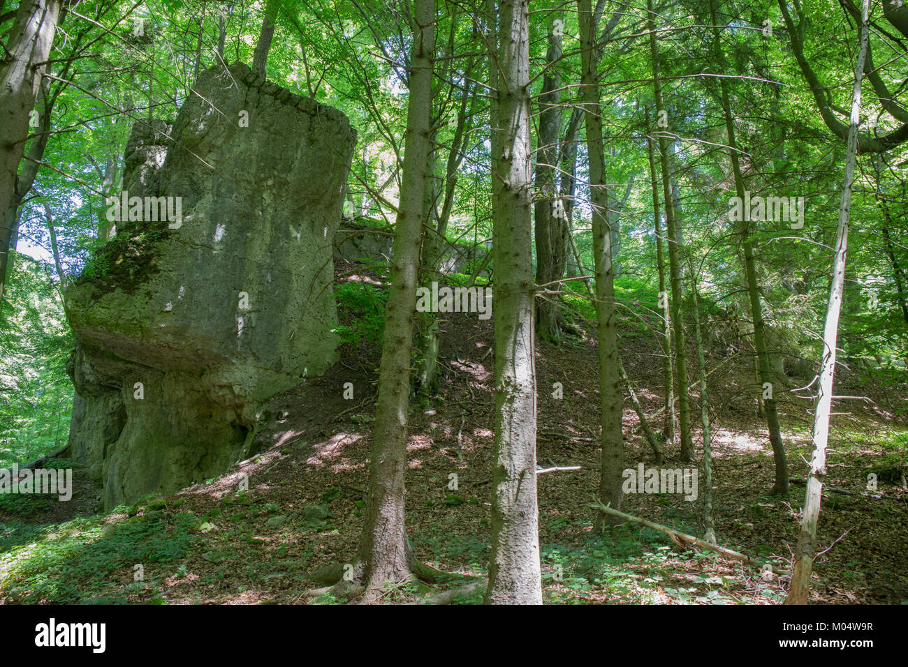 Burgstall Plankenstein is the site of a medieval castle ruin located in Austria. This historic ...