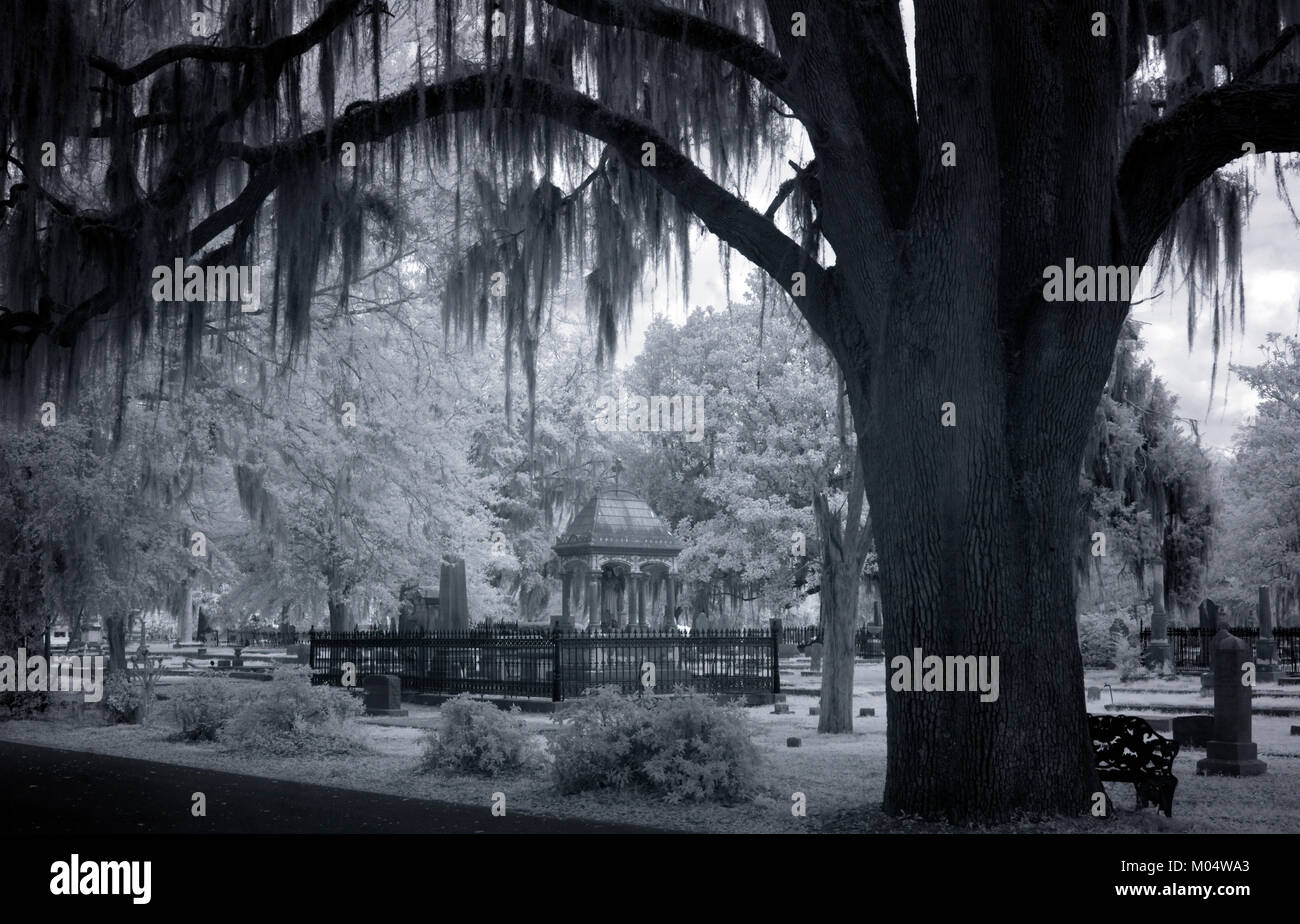 Old Live Oak Cemetery, Selma, Alabama Stock Photo - Alamy
