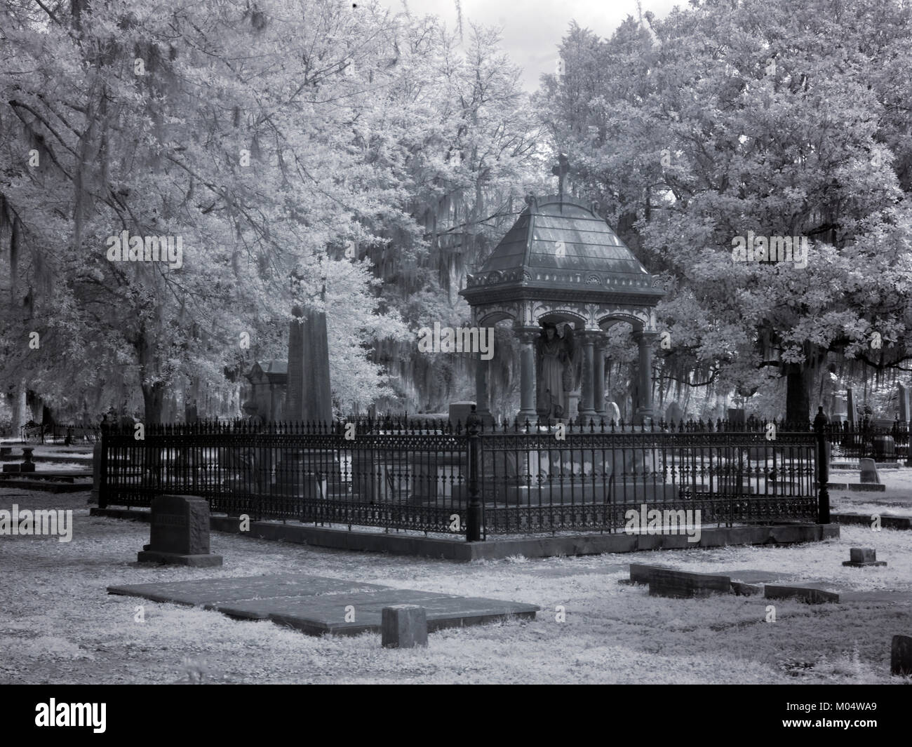 Old Live Oak Cemetery, Selma, Alabama Stock Photo - Alamy