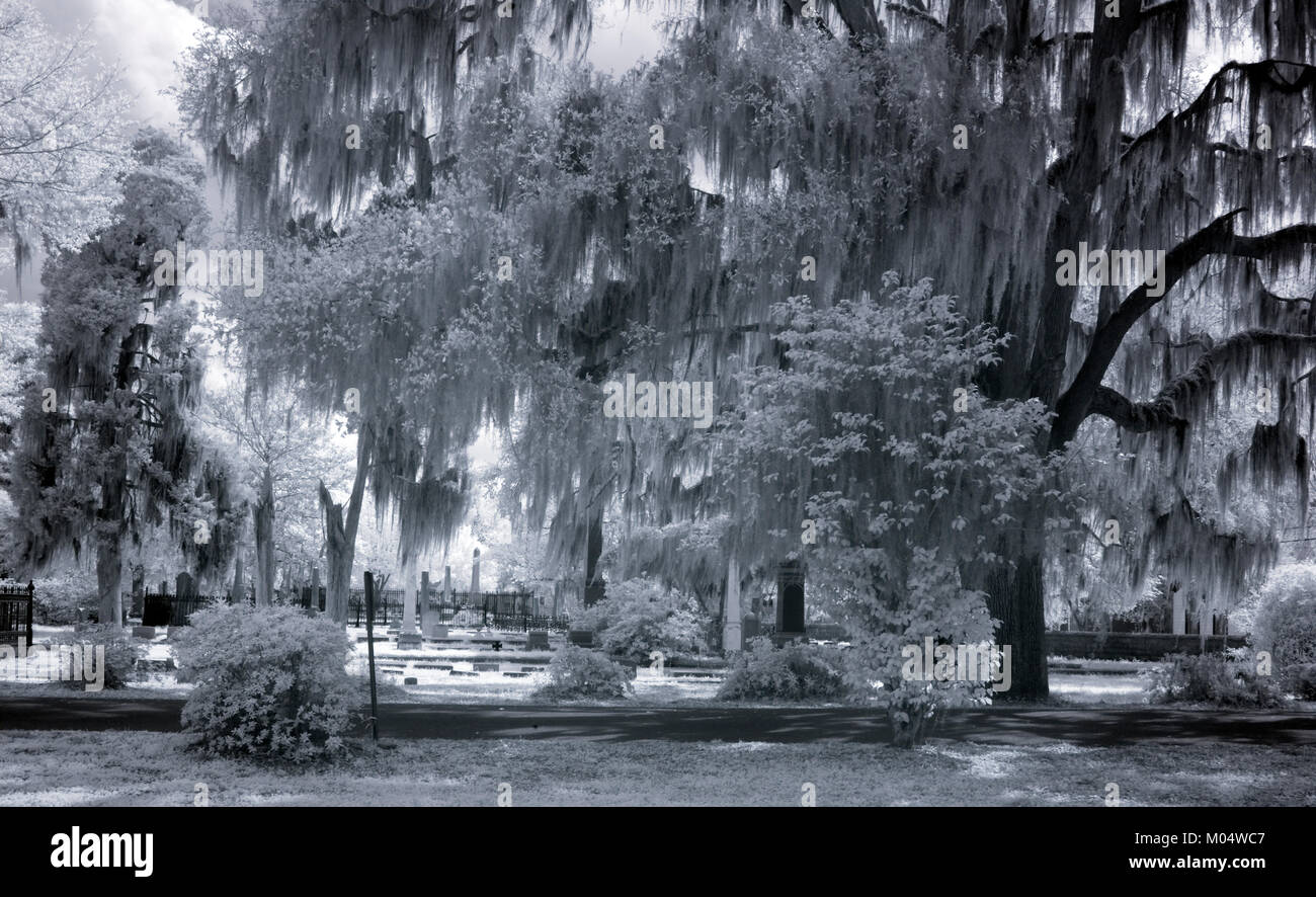 Scenic cemetery hi-res stock photography and images - Alamy