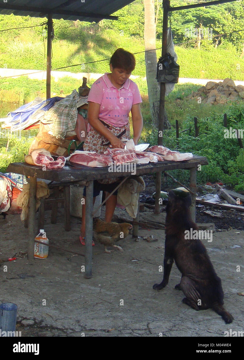 A butcher working in Hainan, China, depicted in a candid moment. The ...