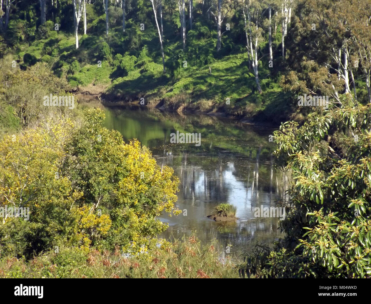 The Bremer River in North Ipswich, Queensland, is a significant ...