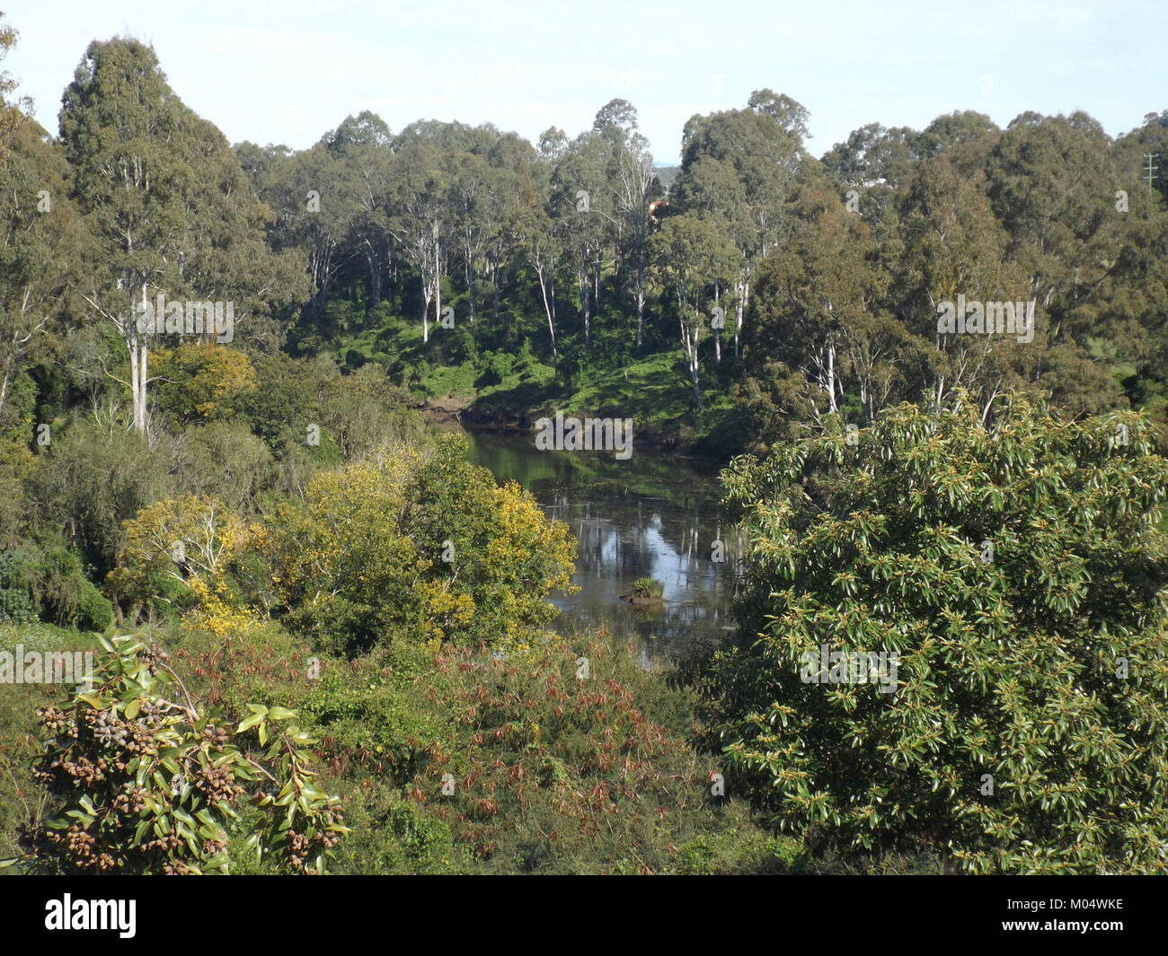 Bremer river queensland hi-res stock photography and images - Alamy