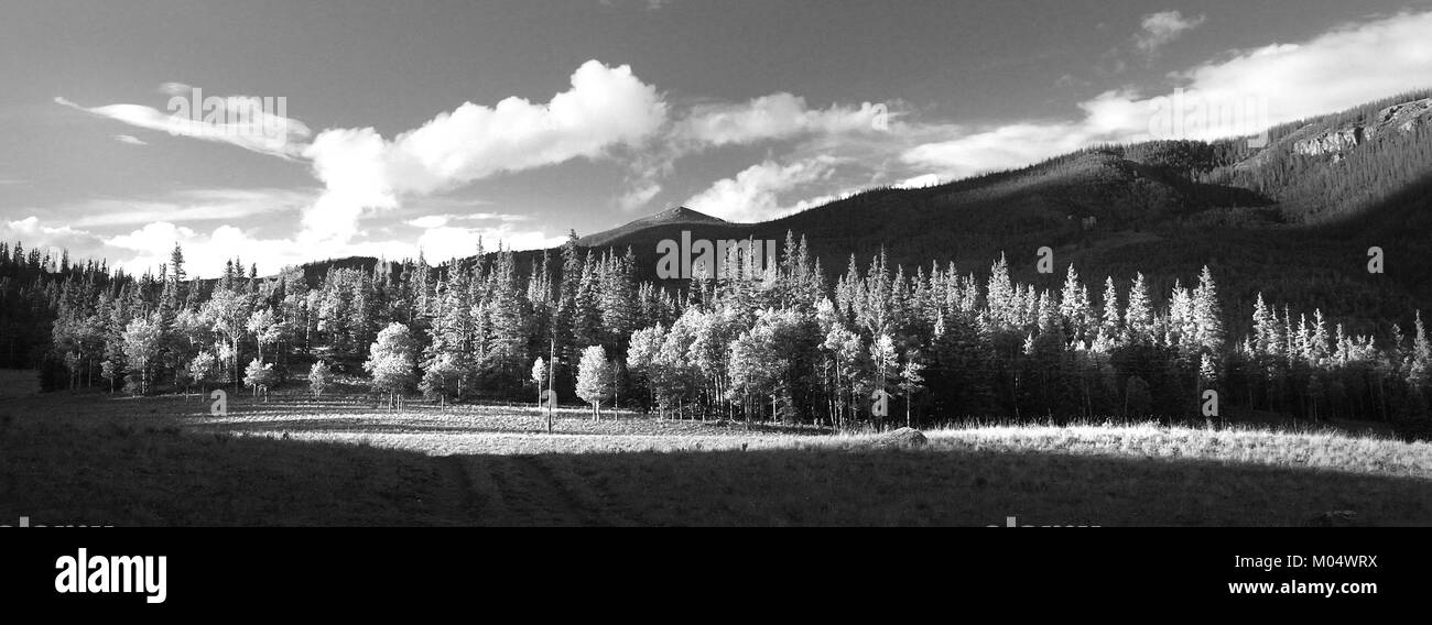 This image from a campsite near Bristol Head in Mineral County ...