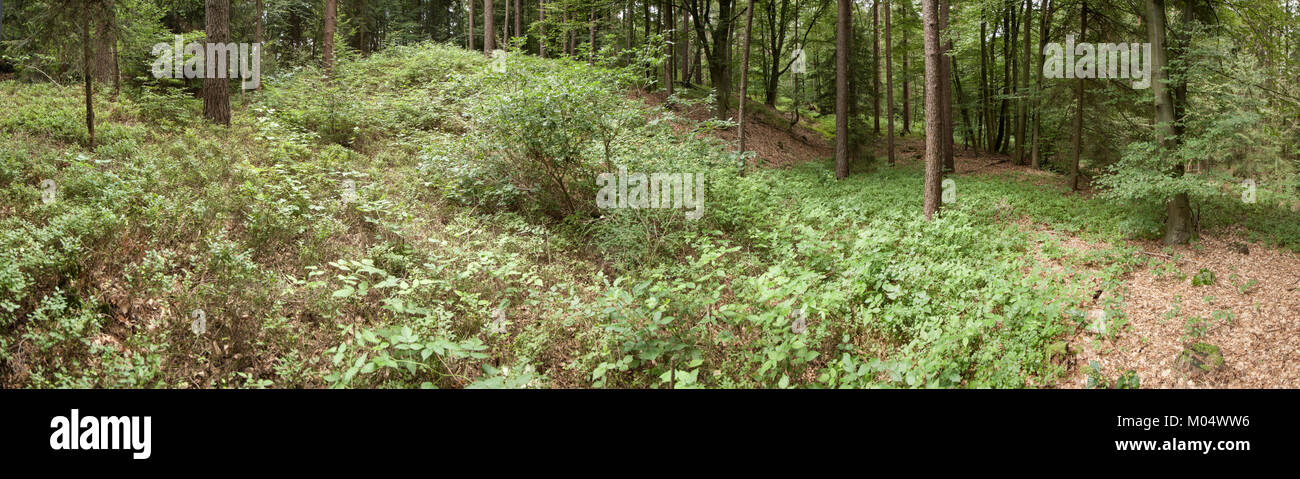 A view of Burgstall Gnadenberg, a historical site located in Bavaria ...