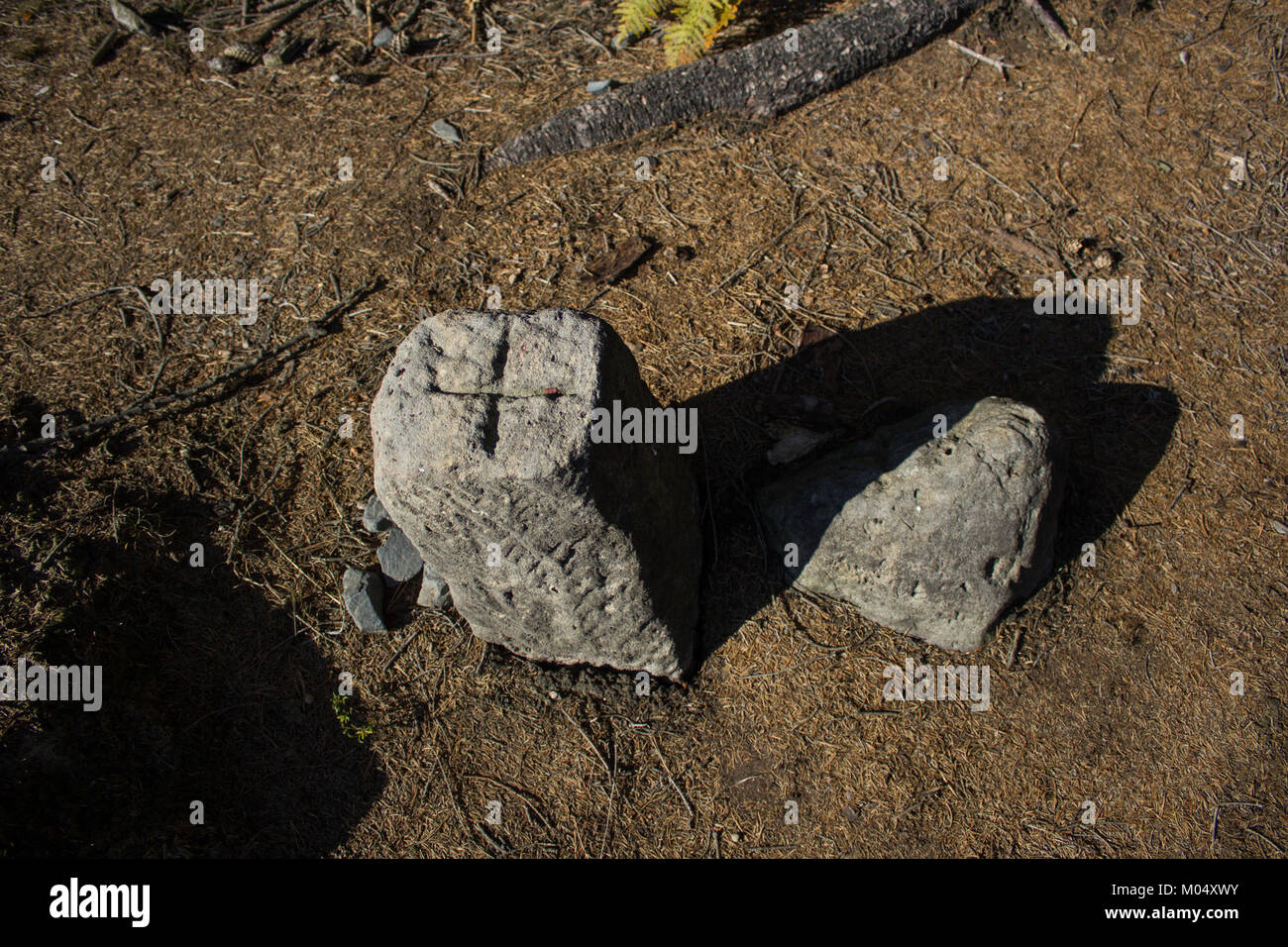 The boundary stone in Arnoltice marks a historical or geographical ...