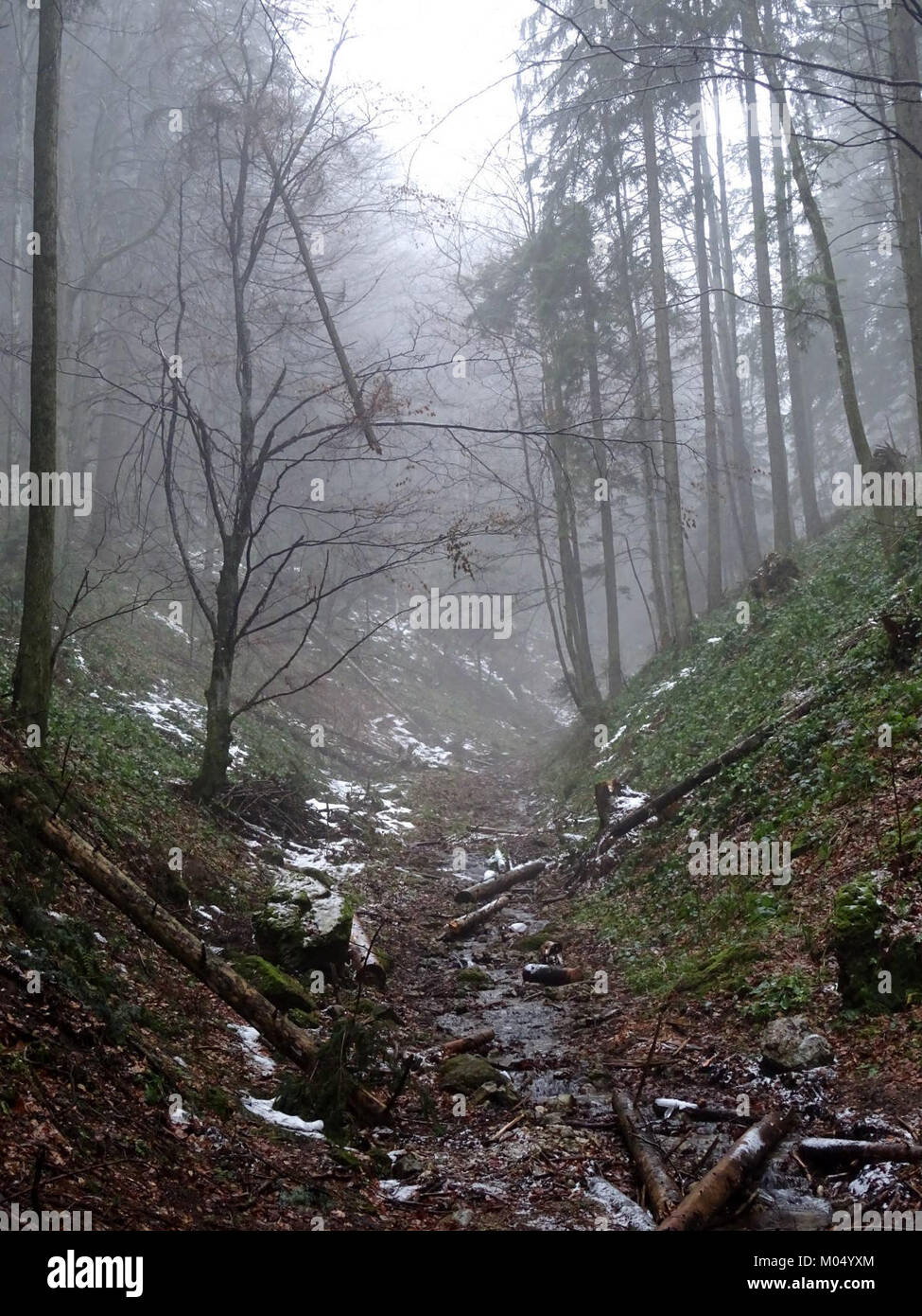 Valea Cu Apa is a region in Romania, known for its natural beauty ...