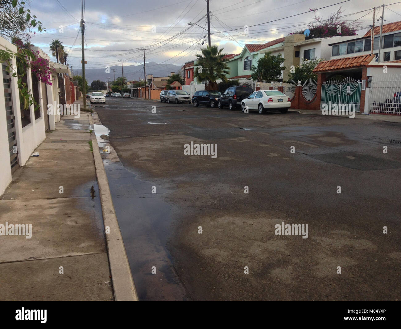 Calle Luis Guzman is a street located in Tijuana, Mexico, known for its ...